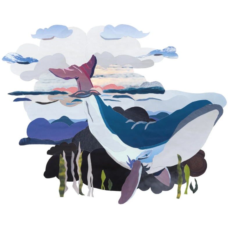 Project Jonah Shop – The Coolstore Gallery