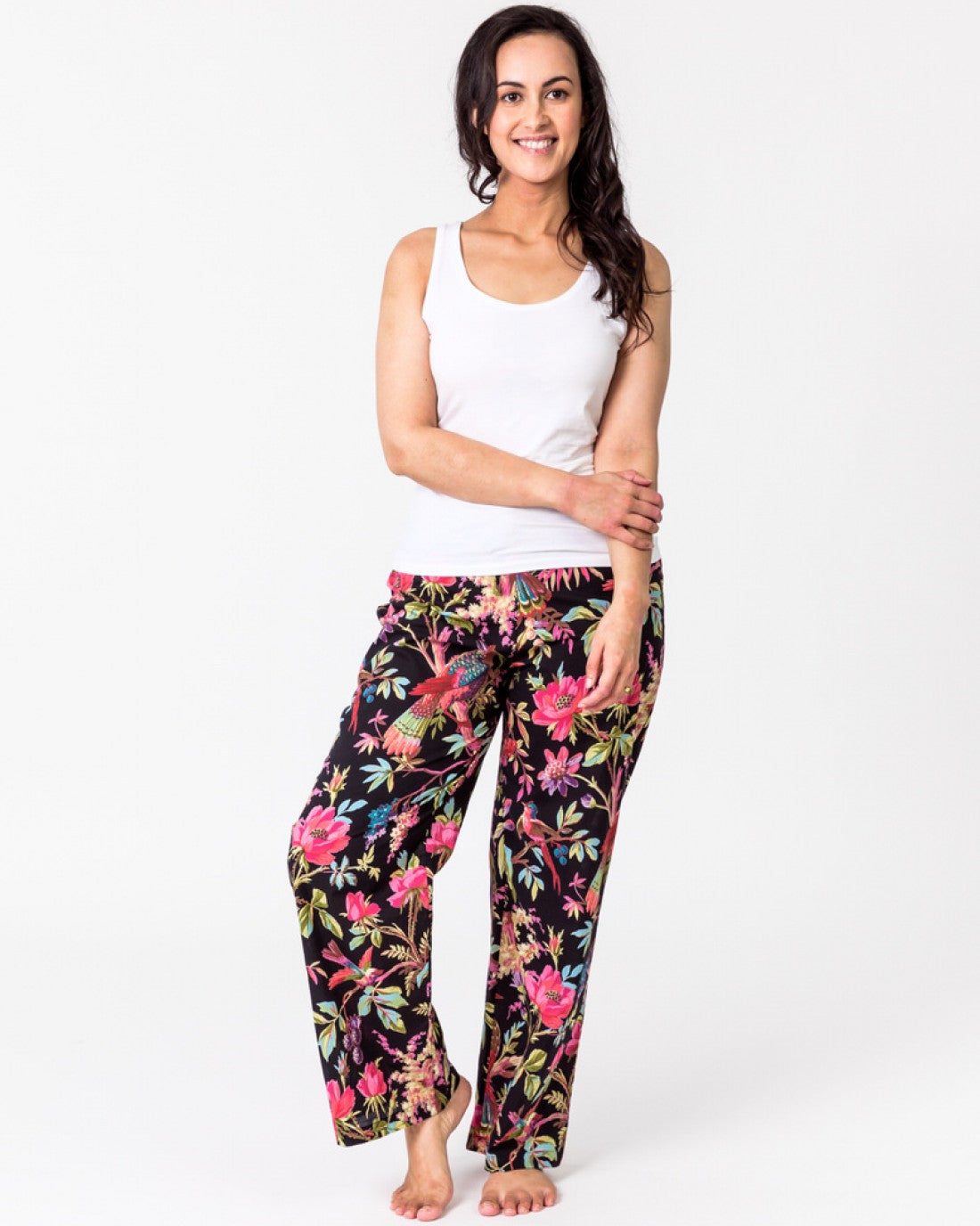 Blazing Daisy – The Coolstore Gallery