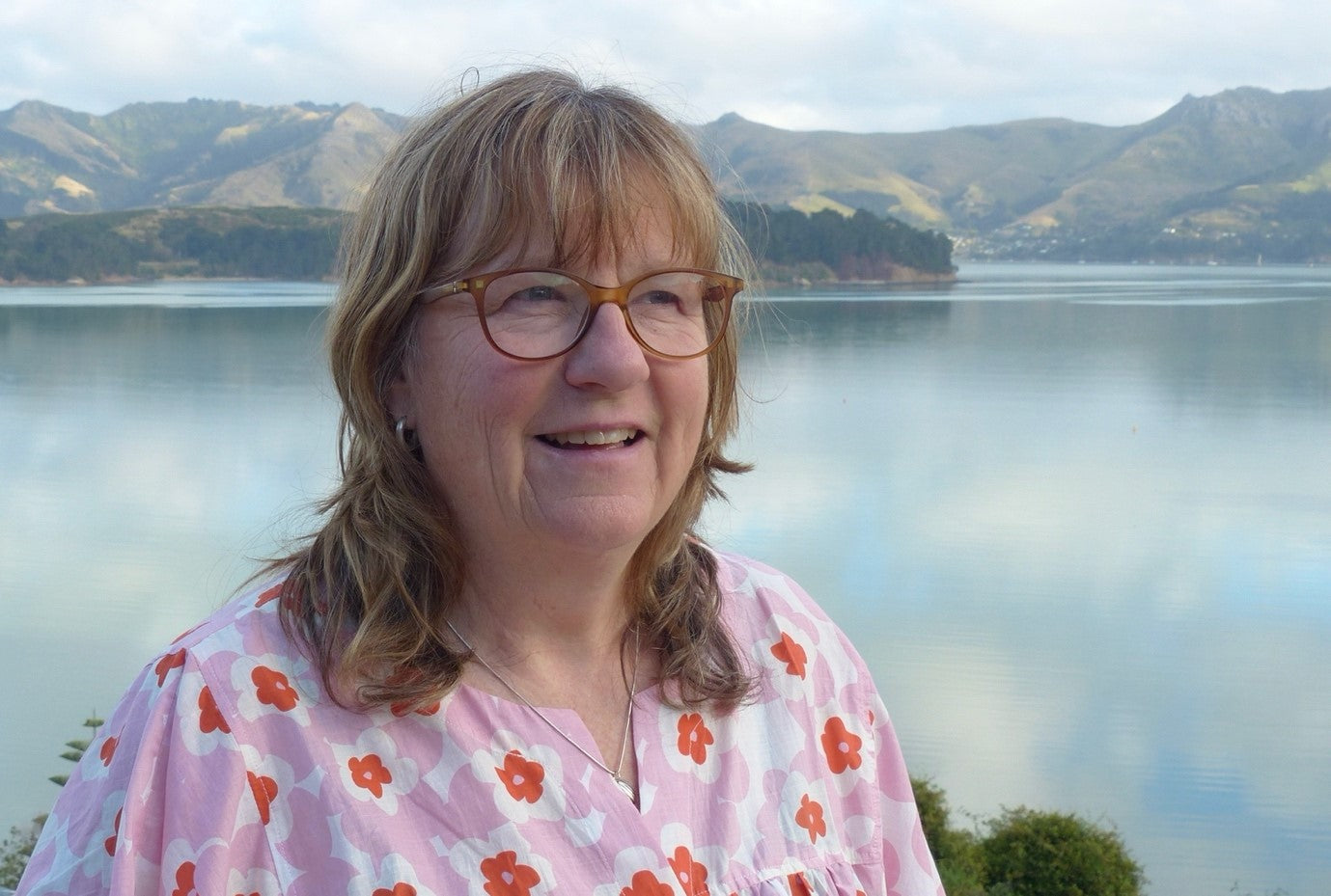 Pippa Mills - Banks Peninsula – The Coolstore Gallery