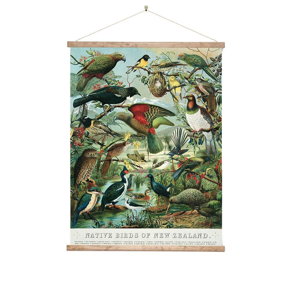 Native Birds Wall Chart – The Coolstore Gallery