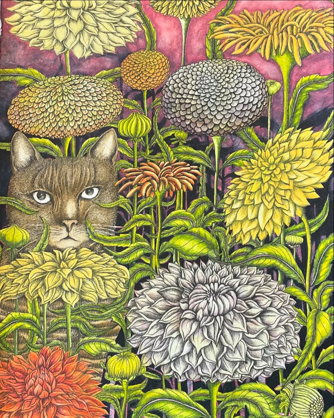 Boston Amongst the Flowers - Limited Edition Print – The Coolstore Gallery