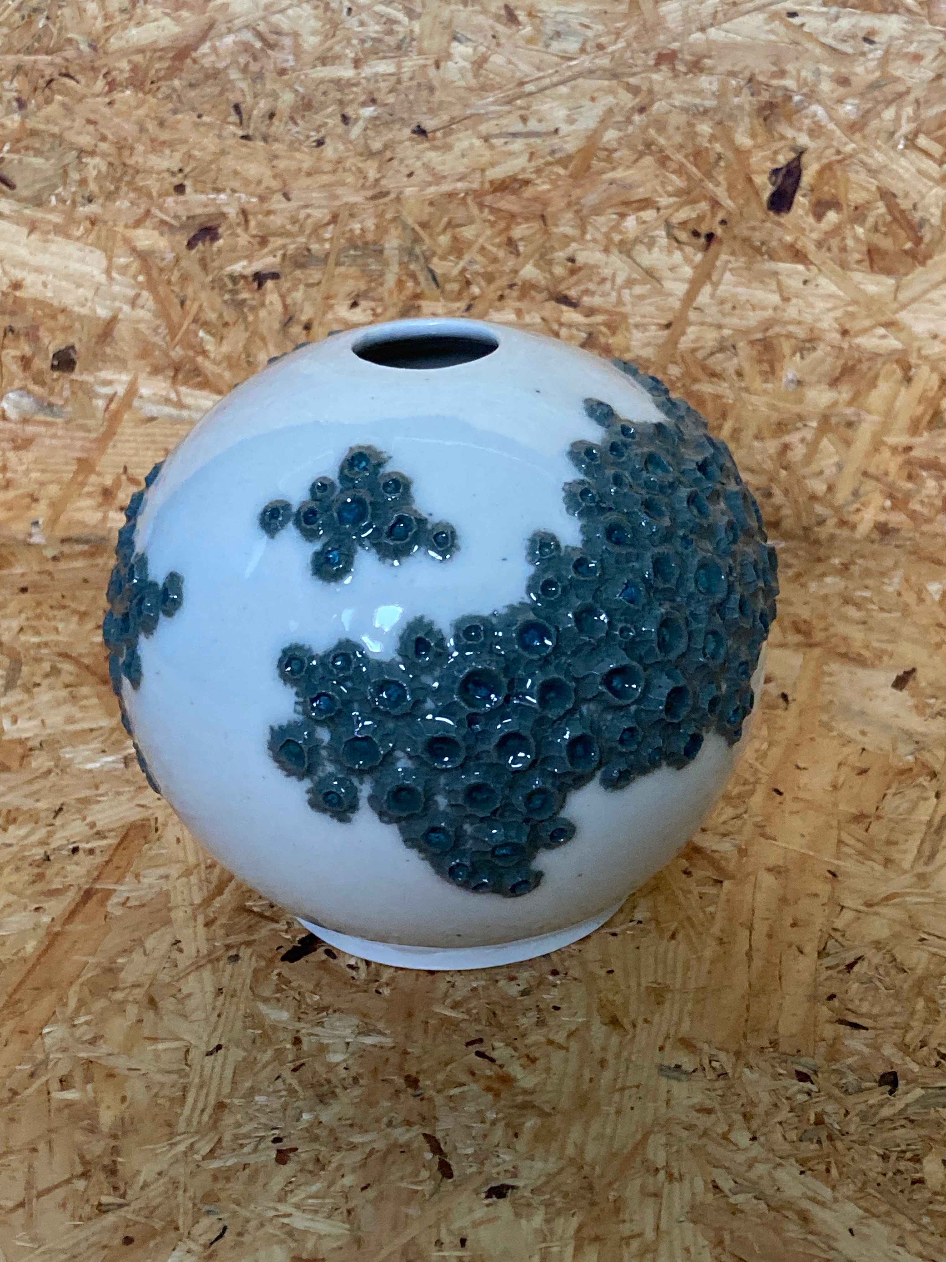 Barnacle Vases – The Coolstore Gallery