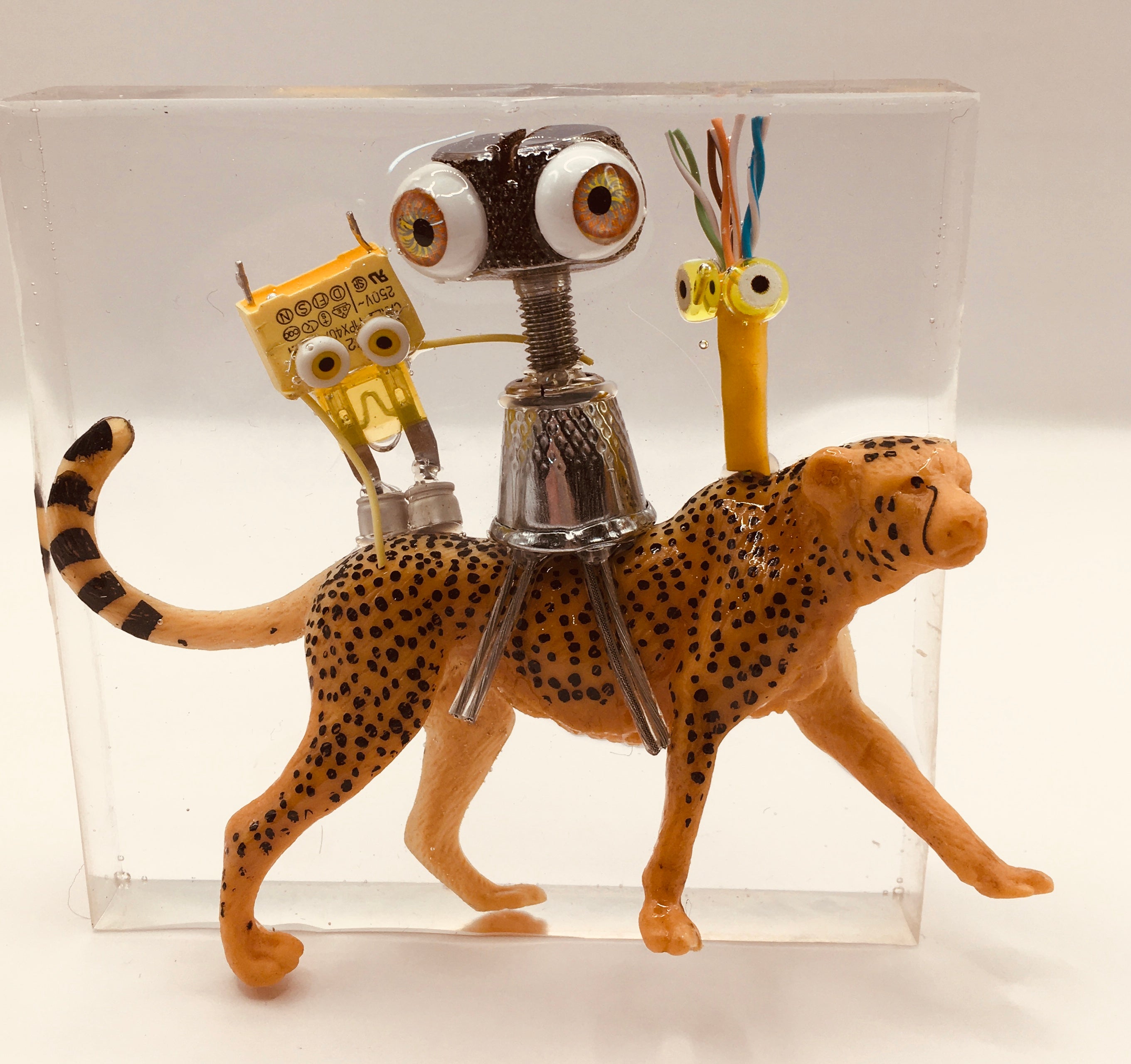 Cryobot - Cheetah Ride – The Coolstore Gallery