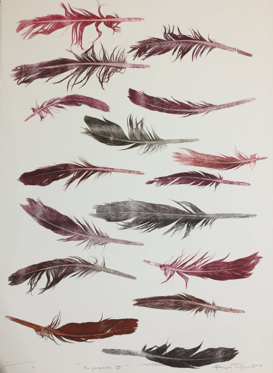 Sheyne Tuffery – Page 2 – The Coolstore Gallery