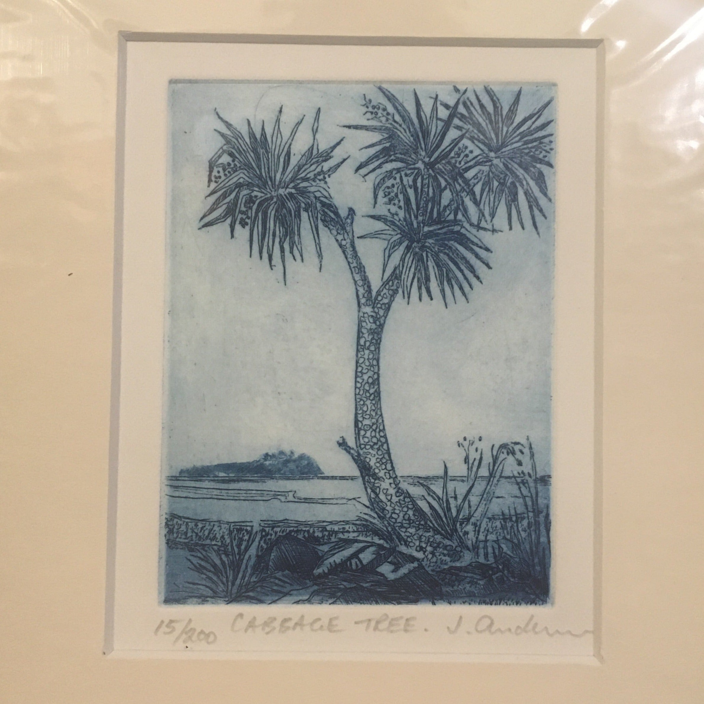 Cabbage Tree Limited Edition Etching – The Coolstore Gallery