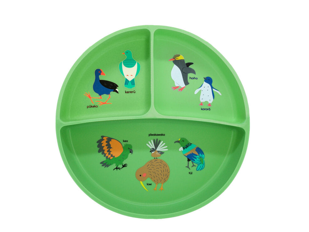 Silicone Divider Plate – The Coolstore Gallery