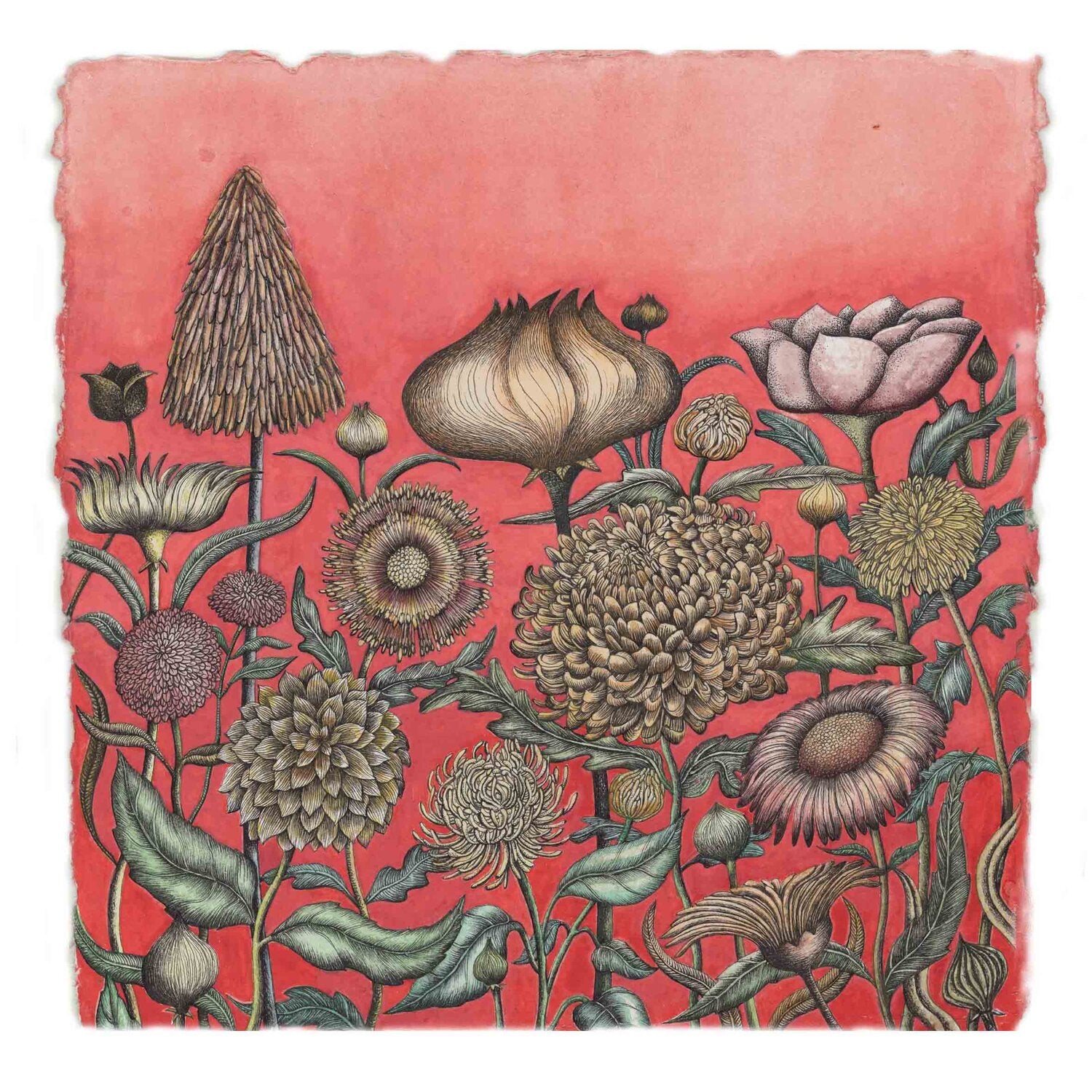 Flowers in Red - Limited Edition print – The Coolstore Gallery