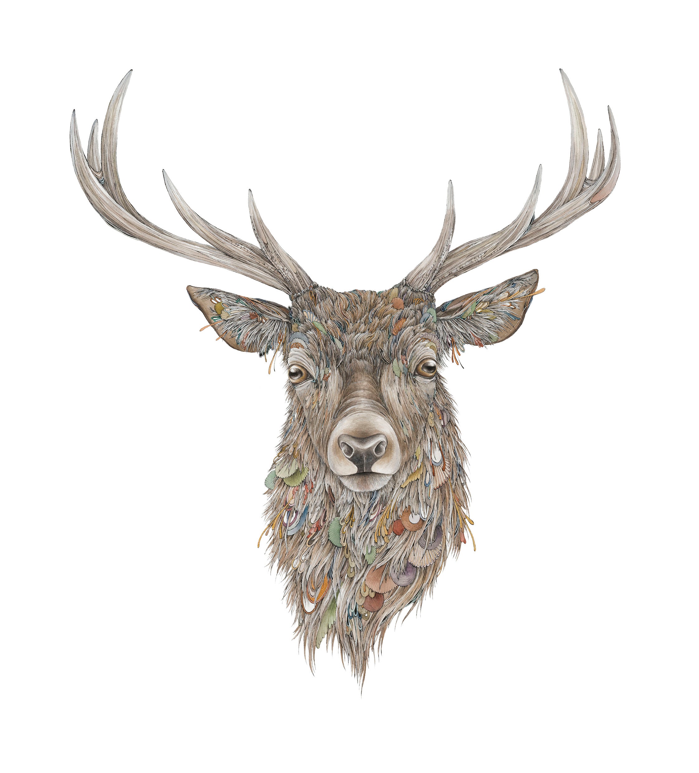 Shori - Limited Edition Print – The Coolstore Gallery