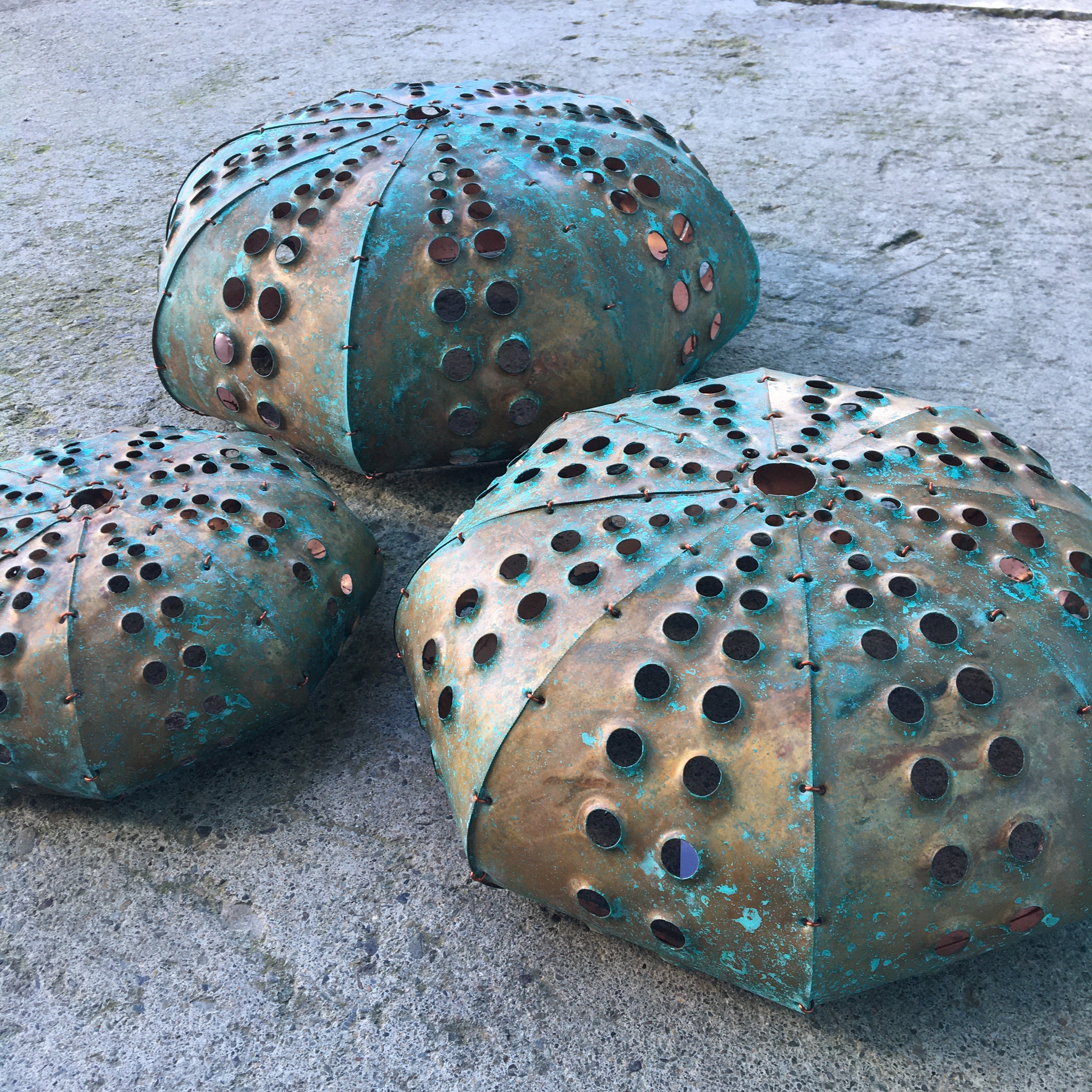 Copper Kina Shells – The Coolstore Gallery